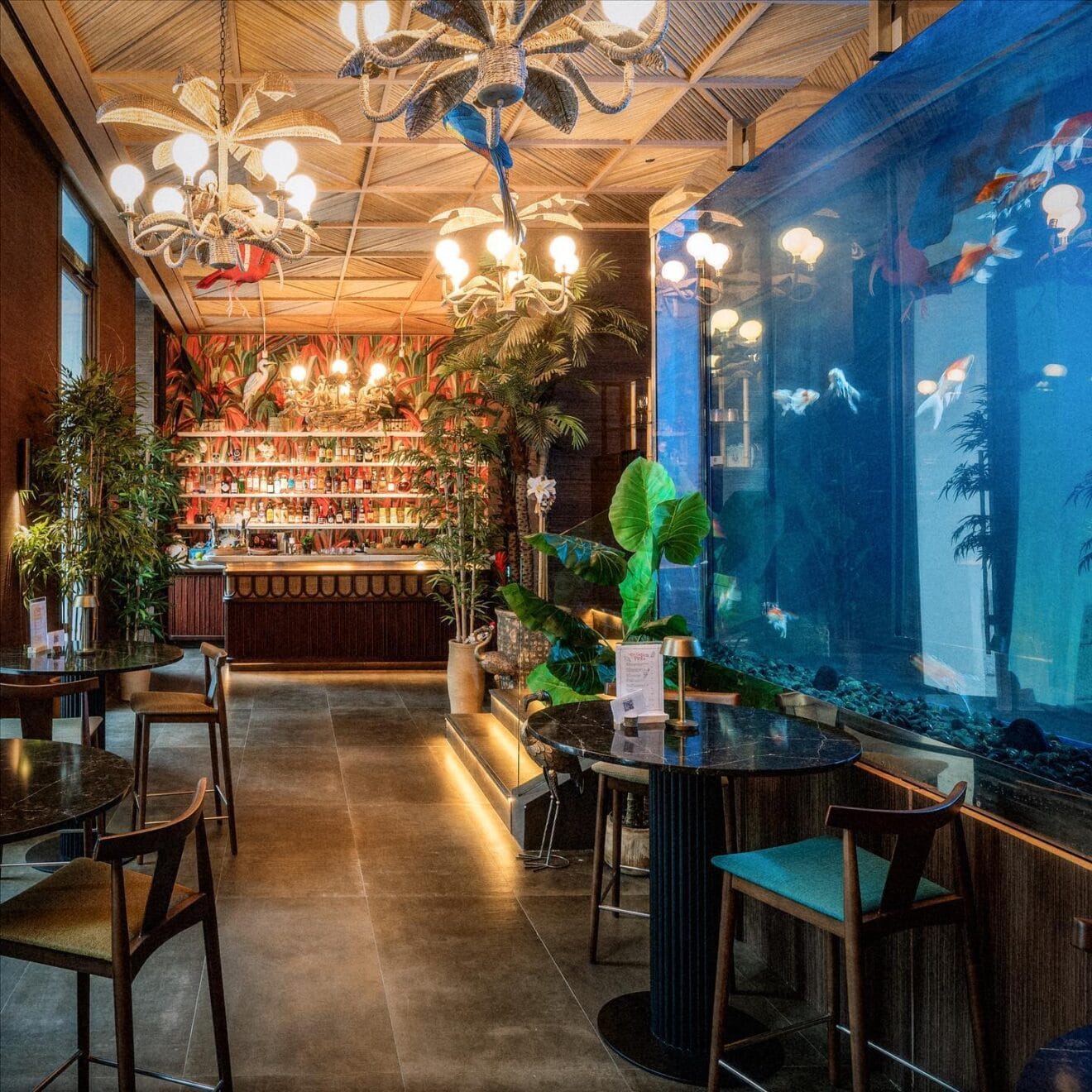 The Library en Madrid Capital | | Cabila.com